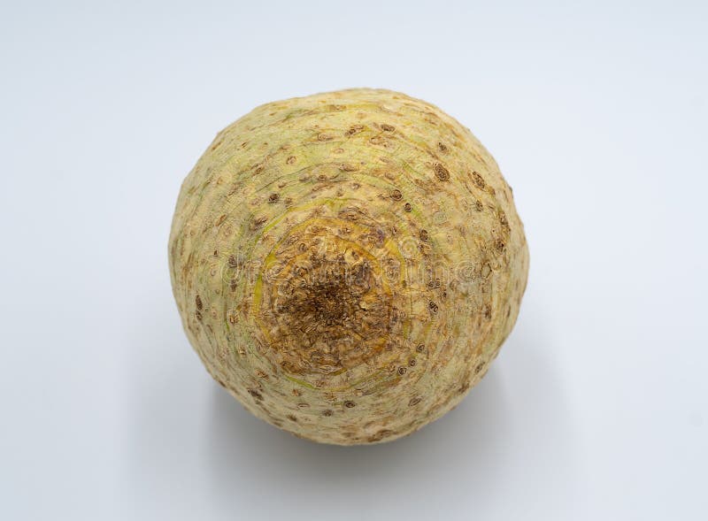 Fresh Celery Root on a White Background. Vegetable, Healthy Food. Stock ...
