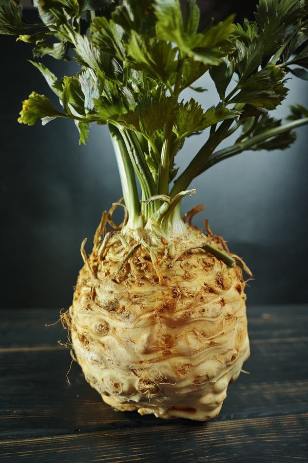 Celery Root - Celeriac, Fresh Healthy Vegetable Stock Photo - Image of ...