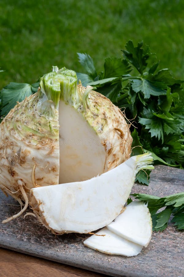 Celery Root - Celeriac, Source of Vitamins, Fresh Healthy Vegetable ...