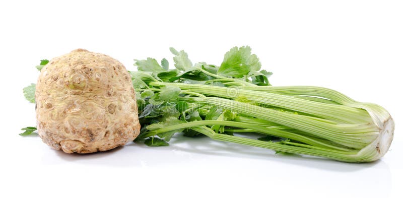 Celery Root and Green Celery Stock Image - Image of fresh, leaf: 57057757