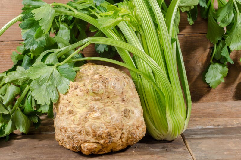 Celery Root and Green Celery Stock Photo - Image of health, healthy ...