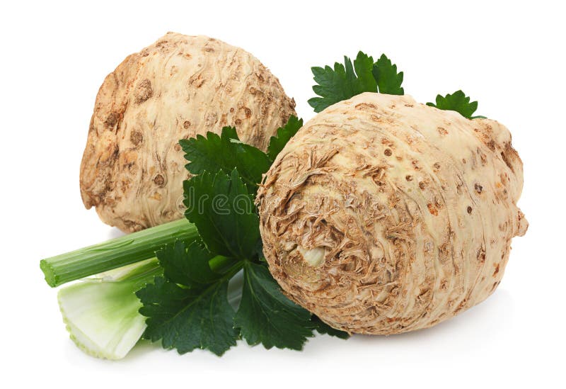 Celery root on white stock image. Image of ingredient - 79139449