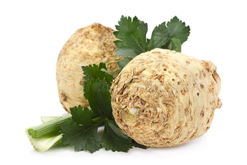 Celery root stock photo. Image of celery, green, freshness - 8256760