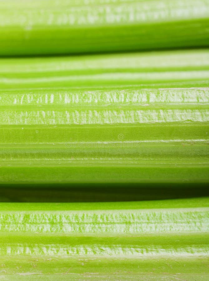 Celery Stems stock photo. Image of salad, amitai, cooking - 99184
