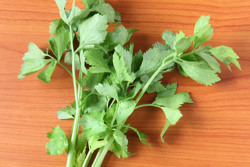 Celery on the table stock image. Image of healthy, leaf - 87635211