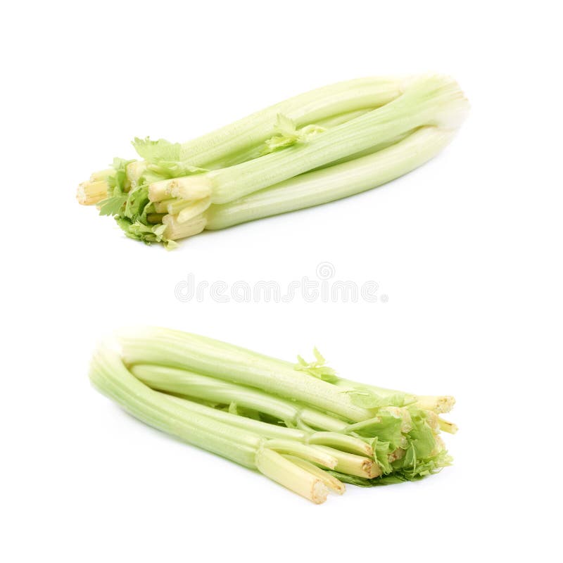 Celery vegetable isolated stock image. Image of cooking - 92603735