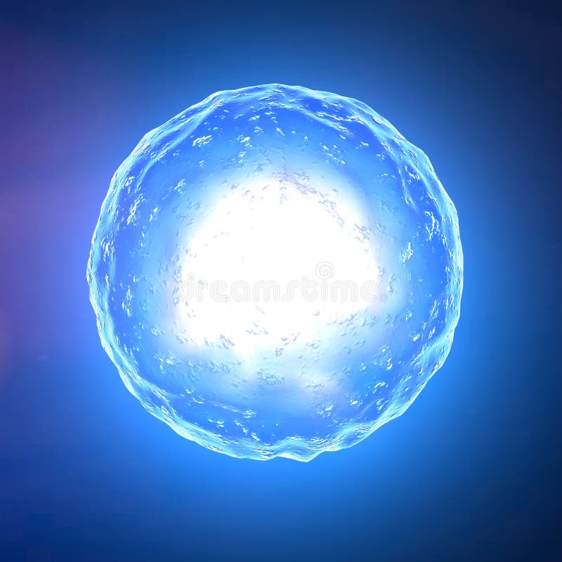 Celkern, ovum, bemesting stock illustratie. Illustration of cyclus ...