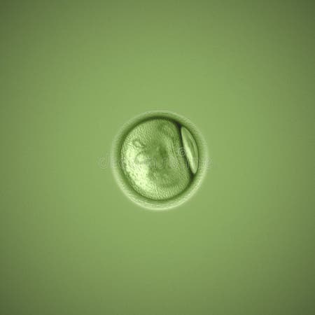 Cell Seed Stock Illustrations – 1,987 Cell Seed Stock Illustrations ...