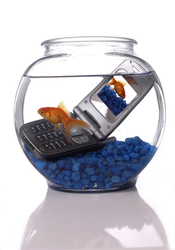 Cell stock image. Image of irony, mobile, technology, destroyed - 1735203