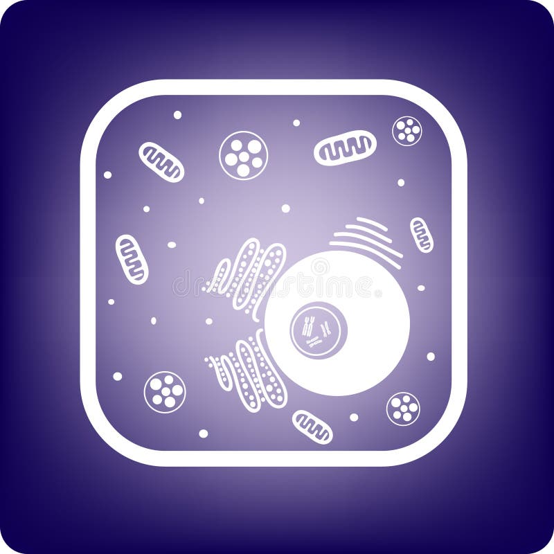 Cell Wall Stock Illustrations – 40,197 Cell Wall Stock Illustrations ...