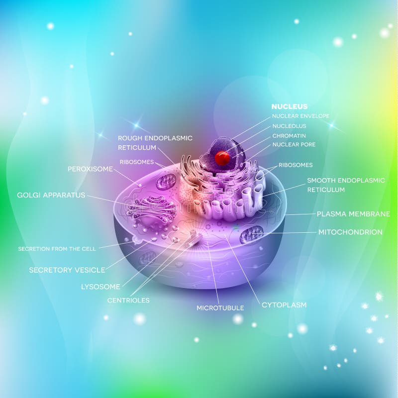 Beautiful Cells Stock Illustrations – 1,942 Beautiful Cells Stock ...