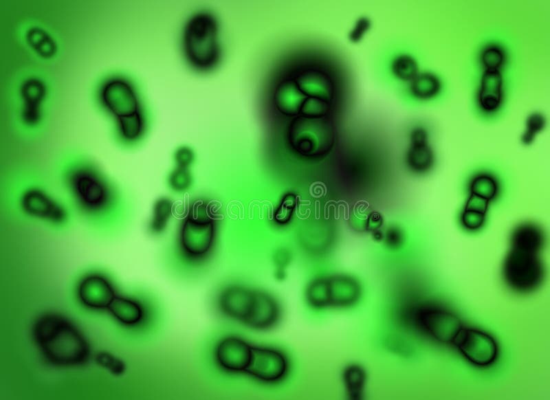Cell/Bacteria Culture Showing Multiplication Stock Illustration ...