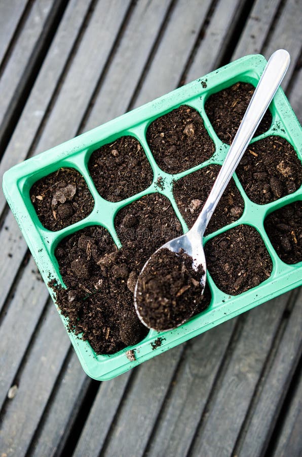 Cell bedding tray stock photo. Image of greenhouse, bedding - 39348118