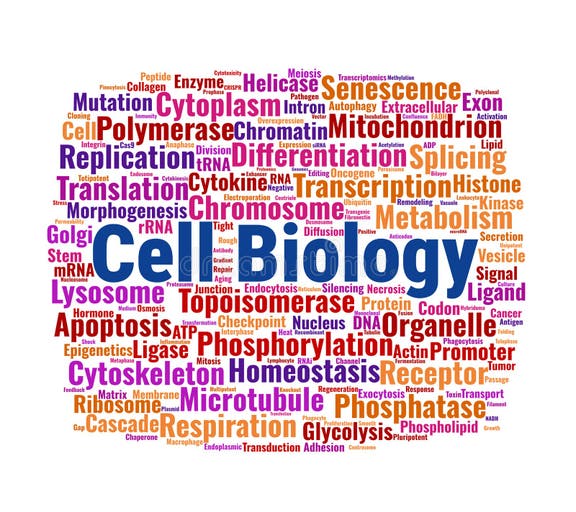 Cell Biology Word Cloud. Key Terms for Research, Study, and Scientific ...