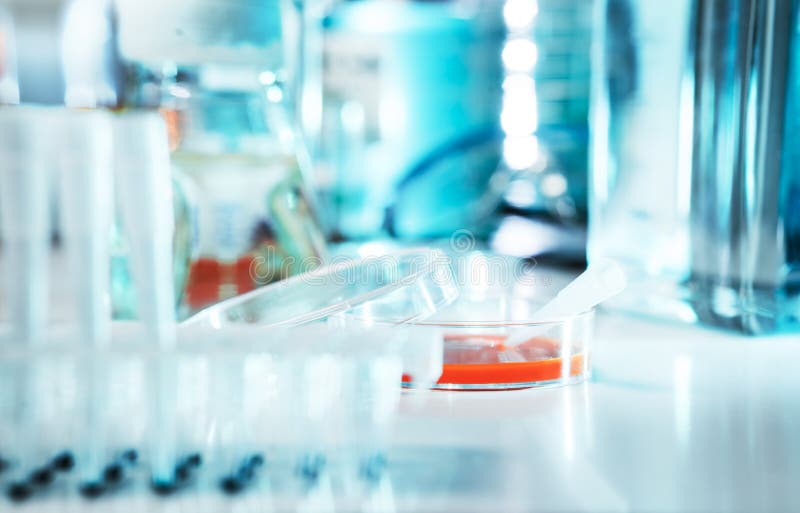 Cell culture sample stock image. Image of flask, modification - 33364693