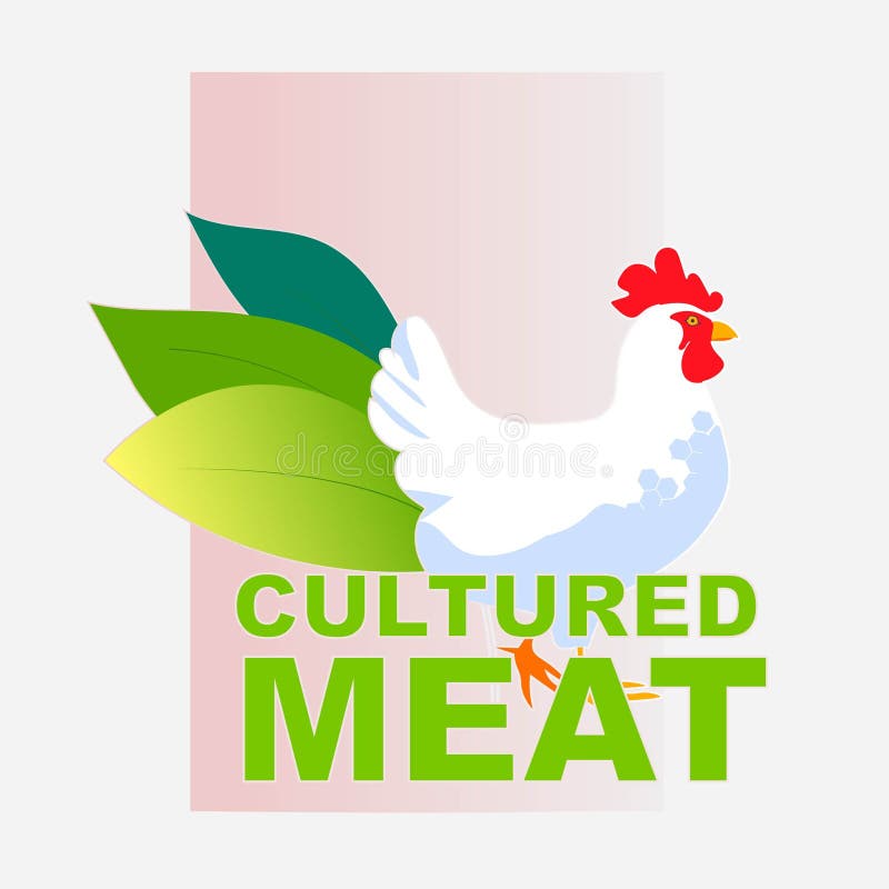 Cell Cultured Chicken Meat Artificial Lab Grown Meat Production Concept ...