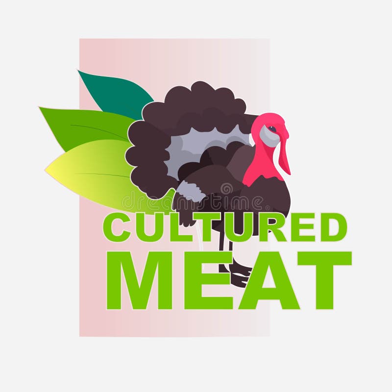 Cell Cultured Turkey Meat Artificial Lab Grown Meat Production Concept ...