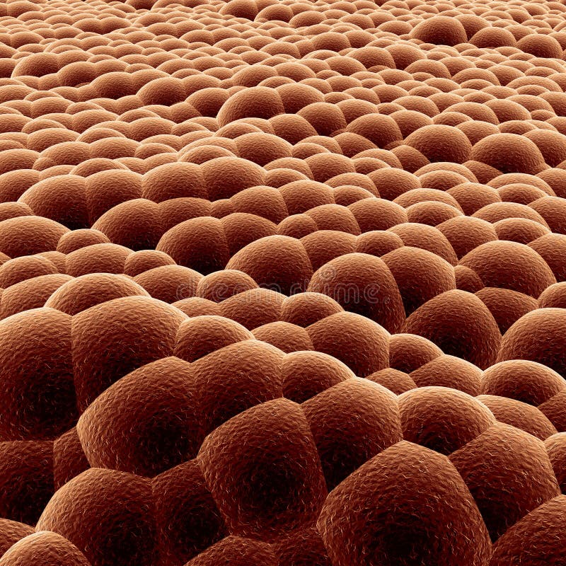 Derma Stock Illustrations – 2,417 Derma Stock Illustrations, Vectors ...