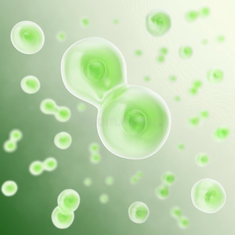 Cell Divides into Two Cells, Scientific Backgorund. 3d Illustration ...