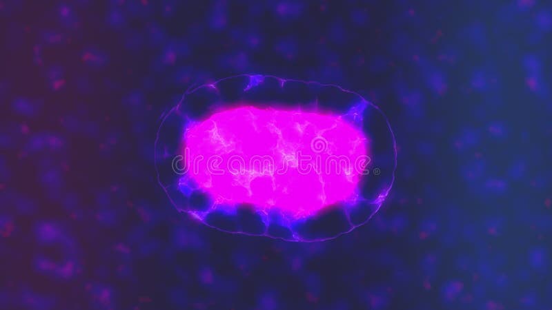 Cell Division Animation stock footage. Video of glow - 169637592