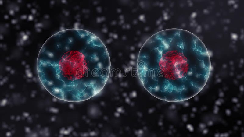 Cell Division, Generic Cell Dividing with Copy Space, Stem Cells ...