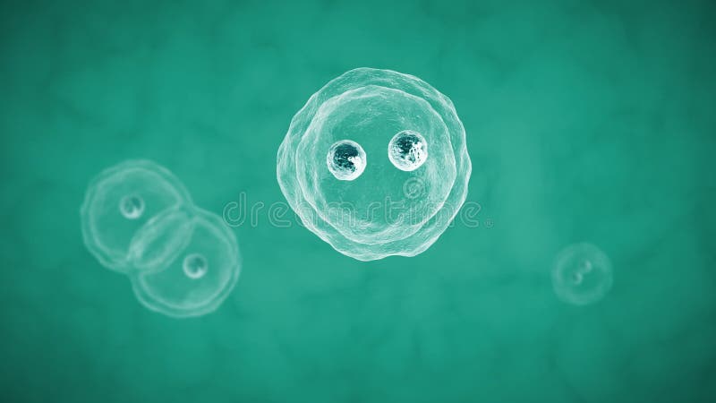 Cell Division, Generic Cell Dividing with Copy Space, Stem Cells ...