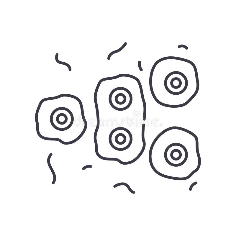 Cell Division Concept Icon Linear Isolated Illustration Thin Line