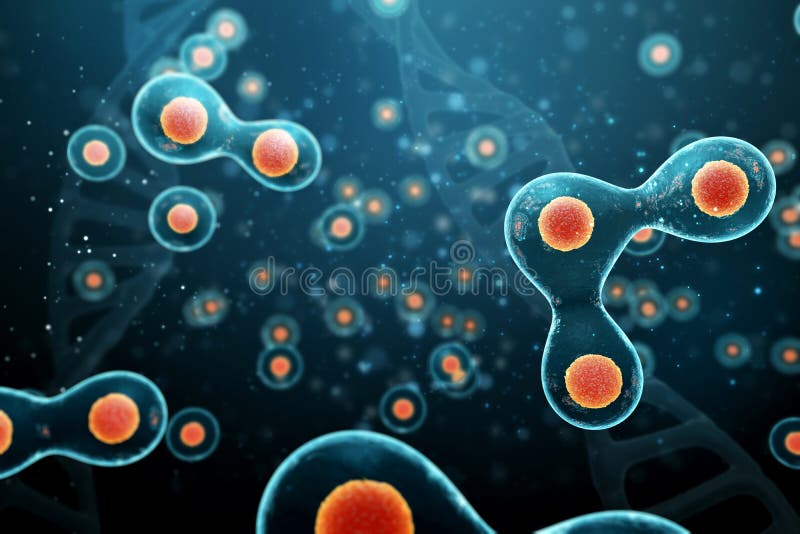 Cell Division on a Dark Blue Background. Stock Illustration ...