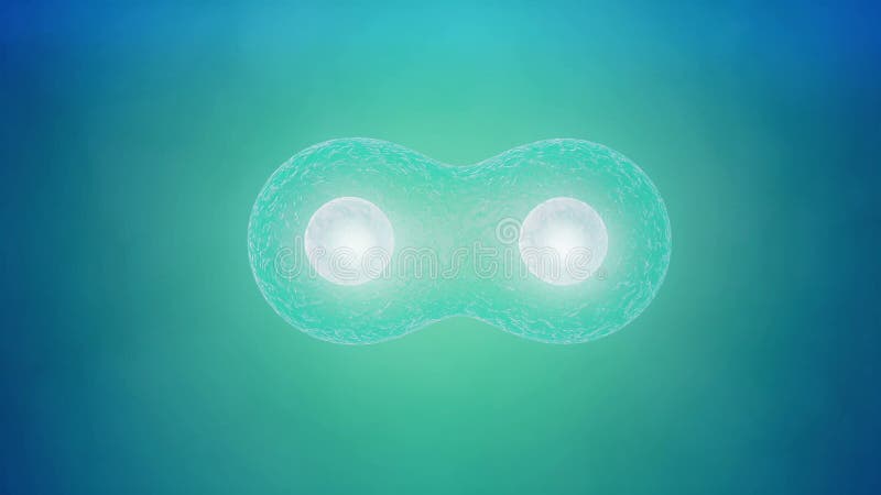 Cell Division, Generic Cell Dividing with Copy Space, Stem Cells ...