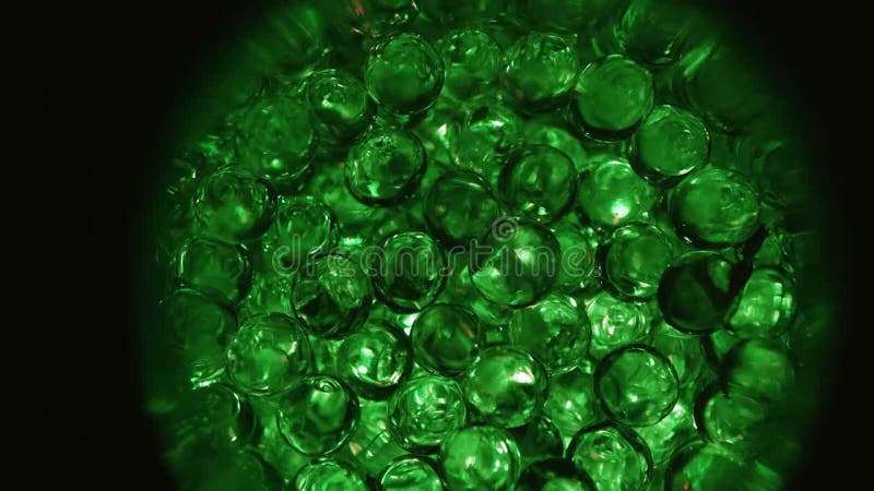 Cell Division, Formation of Morula and Embryo. the Concept of the Ovum ...