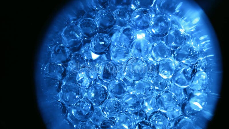 Cell Division, Formation of Morula and Embryo. the Concept of the Ovum ...