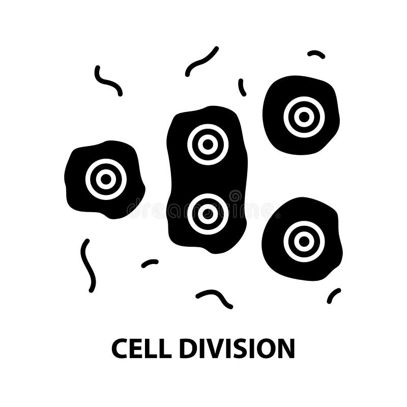 Cell Division Icon, Black Vector Sign with Editable Strokes, Concept ...