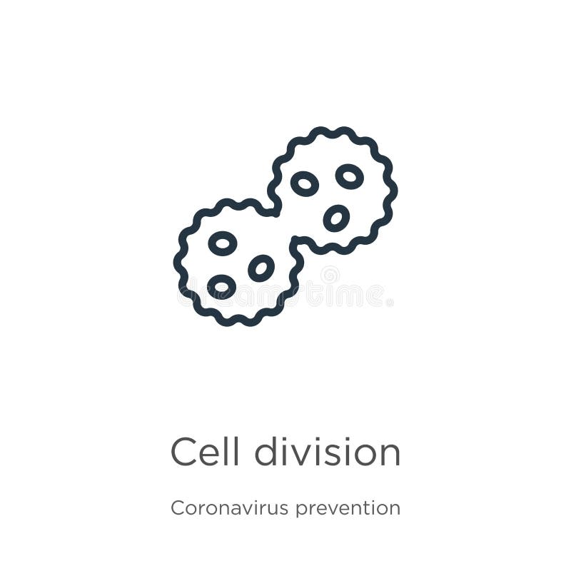 Division Icon. Thin Linear Division Outline Icon Isolated on White ...