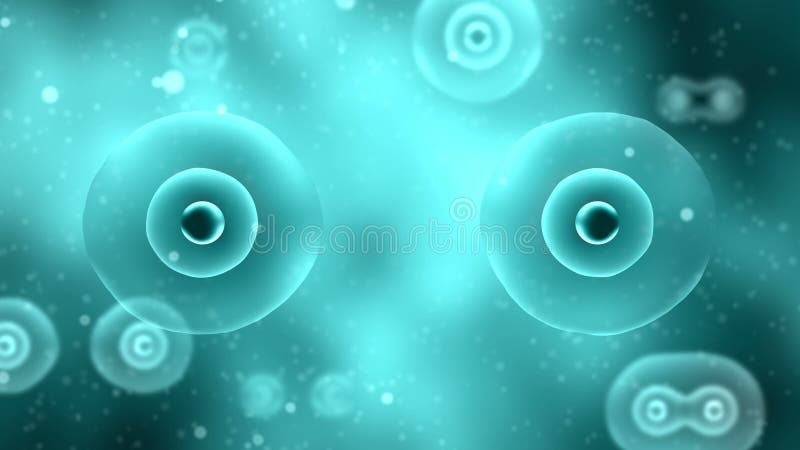 Cell Division, Generic Cell Dividing with Copy Space, Stem Cells ...