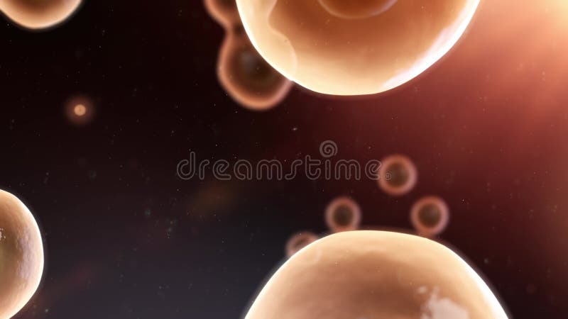 Cell Division, Cell Proliferation, Replication in Warm Colors ...