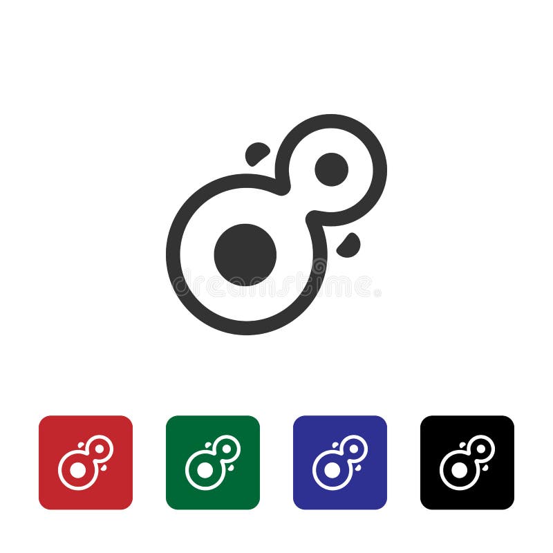 Cell Division Process Flat Icon, Cell Divides into Two, Cell Isolated ...
