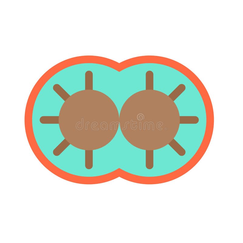 Cell Division Vector Illustration, Line Style Icon Stock Vector ...