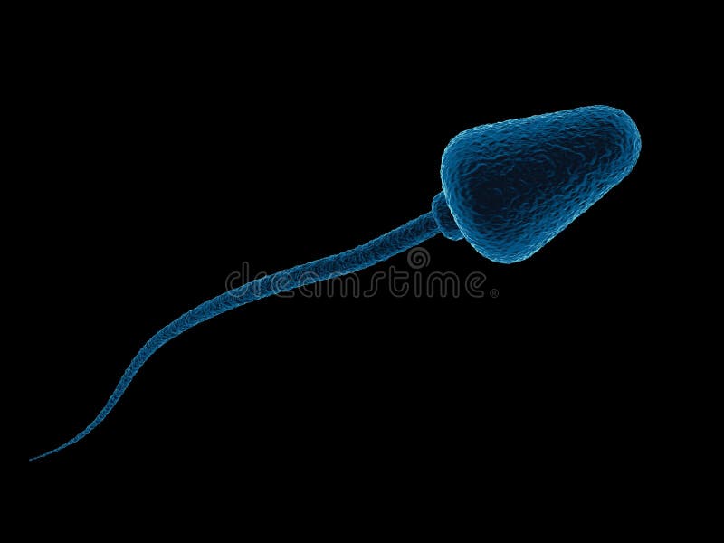 3d-rendering Av Sperma Och ägg. Stock Illustrationer - Illustration av ...