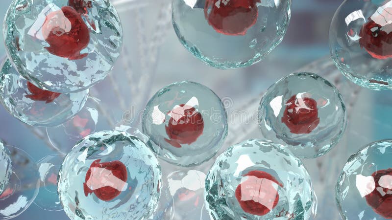 The Cell Image for Sci or Education Concept 3d Rendering Stock ...