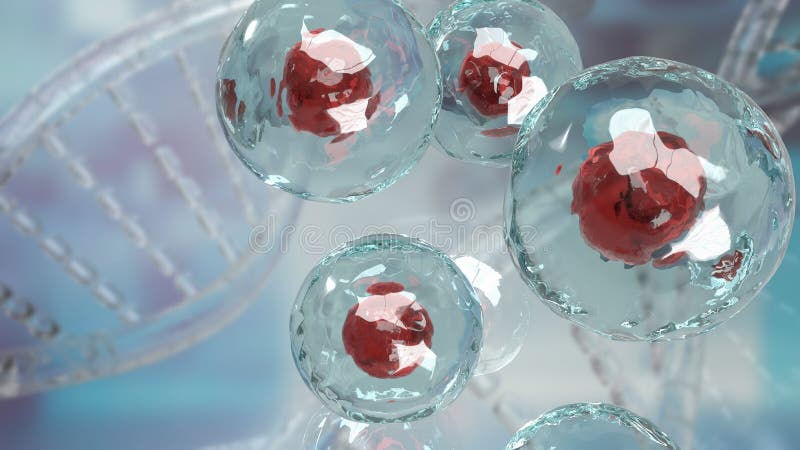 The Cell Image for Sci or Education Concept 3d Rendering Stock ...