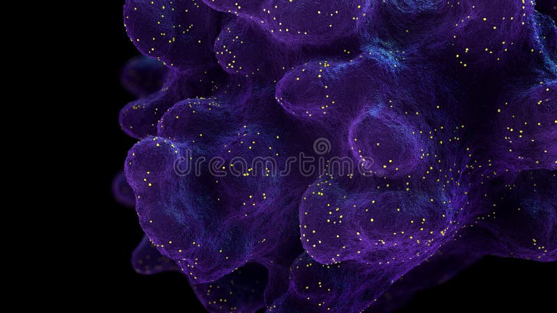 Cell Infected with Virus Particles Causing Cell Death Stock ...