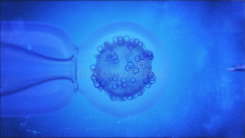 Needle Injecting Biologic Material into Cell, DNA Experiment. Cell ...