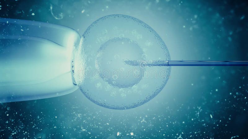 Needle Injecting Biologic Material into Cell, DNA Experiment. Cell ...