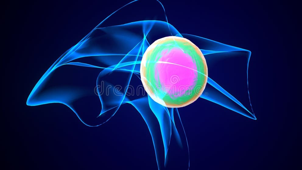 Smallest Habitats Stock Illustrations – 120 Smallest Habitats Stock ...