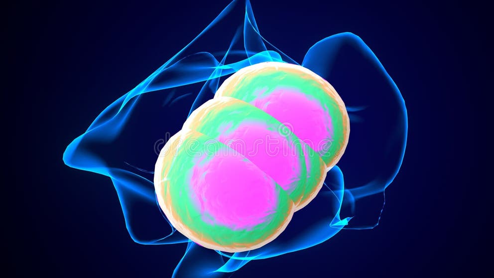 Smallest Habitats Stock Illustrations – 120 Smallest Habitats Stock ...