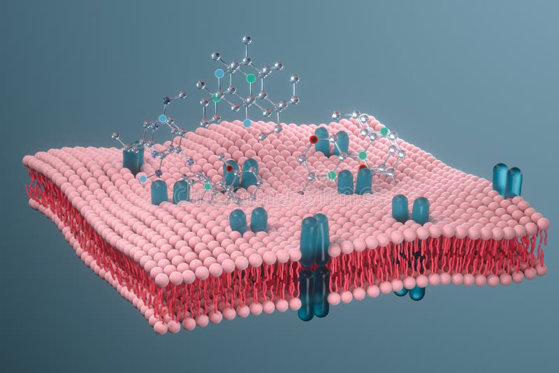 Cell Membrane and Biology, Biological Concept, 3d Rendering Stock ...