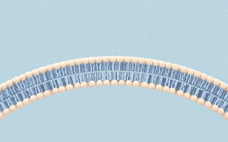 Cell Membrane and Biology, Biological Concept, 3d Rendering Stock ...