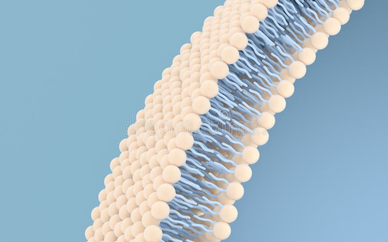 Cell Membrane and Biology, Biological Concept, 3d Rendering Stock ...