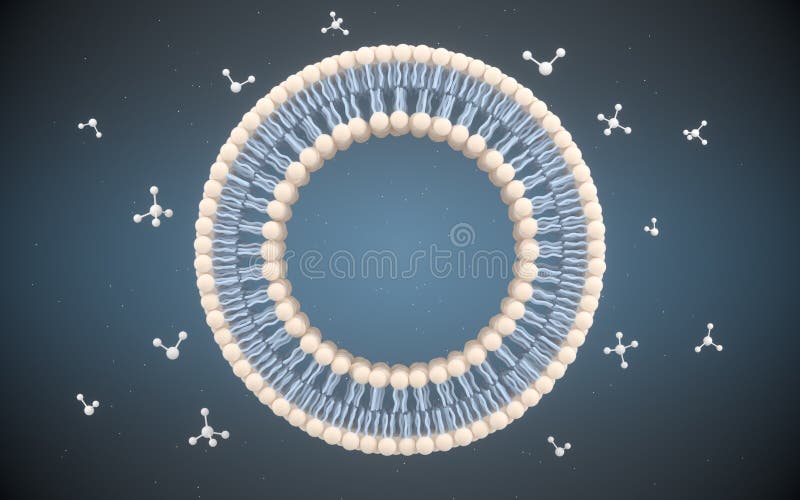Cell Membrane and Biology, Biological Concept, 3d Rendering Stock ...