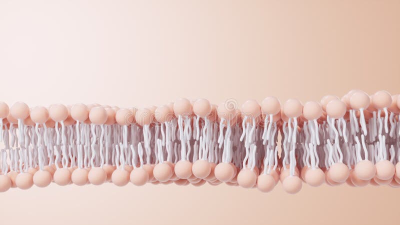 Cell Membrane Structure Background, 3d Rendering Stock Video - Video of ...